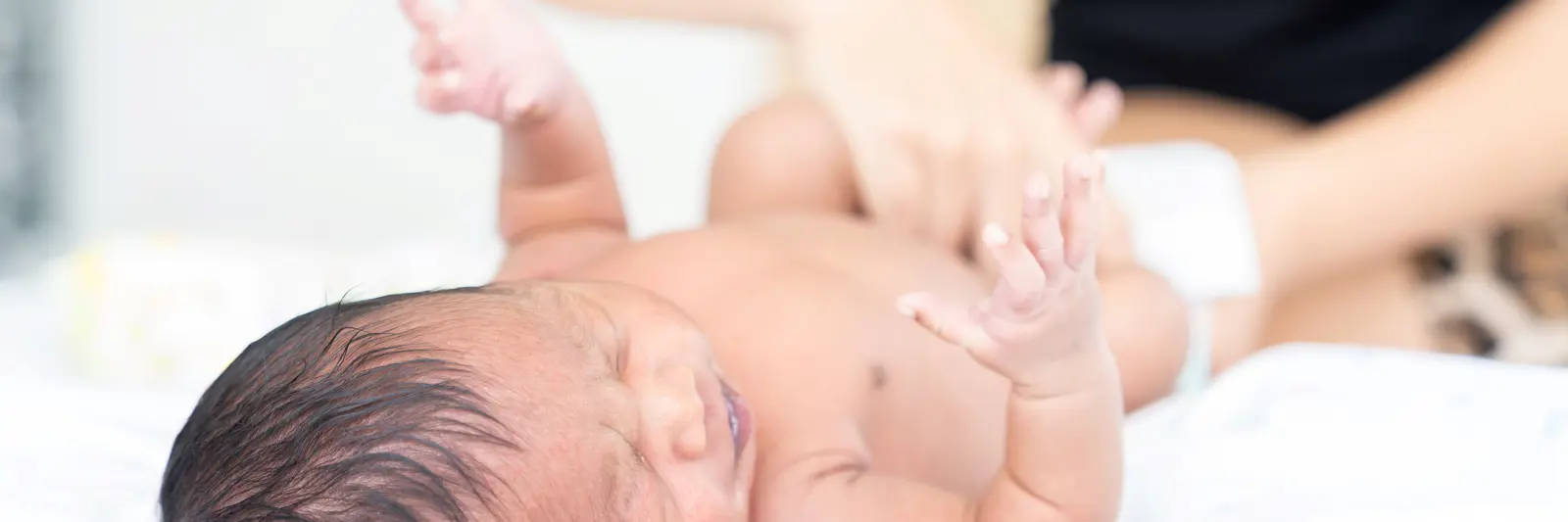 Submitter Hub | Newborn Screening Ontario