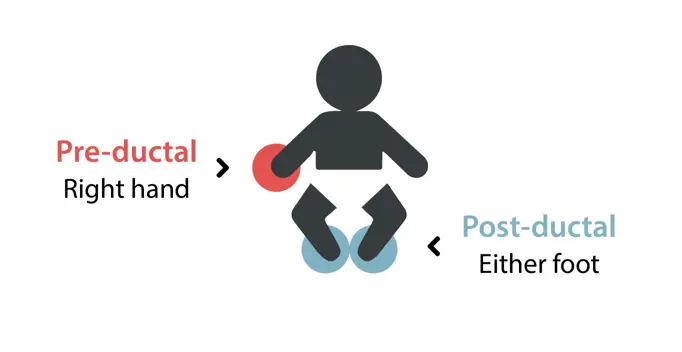 Pulse Oximetry Protocols | Submitter Hub