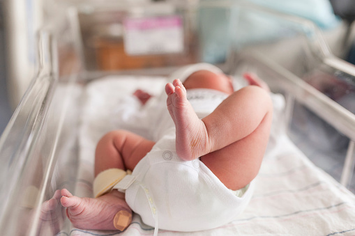 Submitter Hub | Newborn Screening Ontario