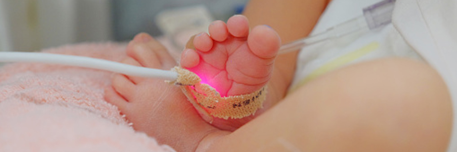 Submitter Hub | Newborn Screening Ontario